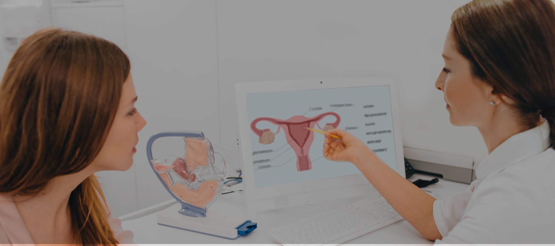 CWC OBGYN - Silver Spring, MD & Laurel, MD